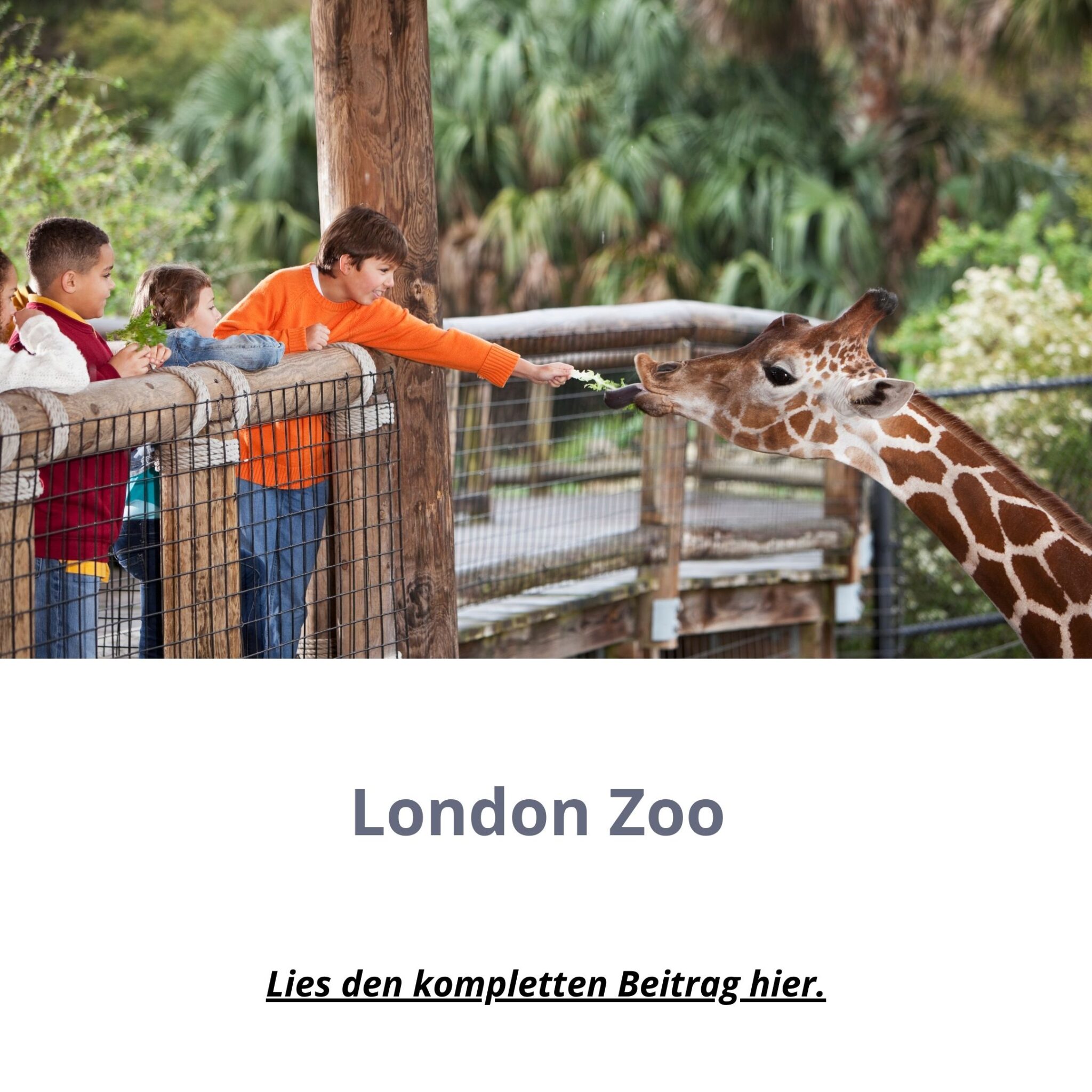 London Zoo - Hop-on-hop-London